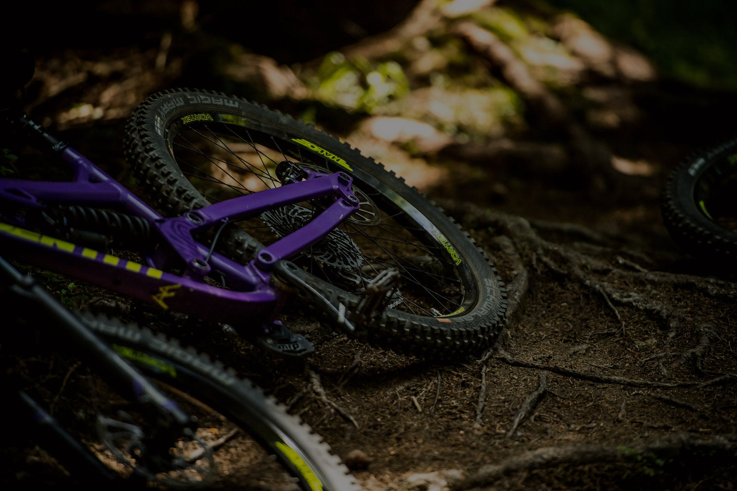HALO WHEELS – Rollo Store